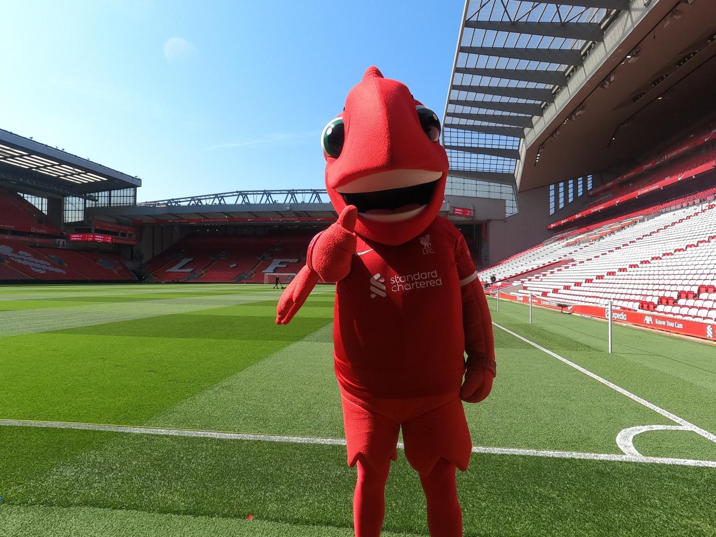 Mighty Red Welcomes New Members - Liverpool FC