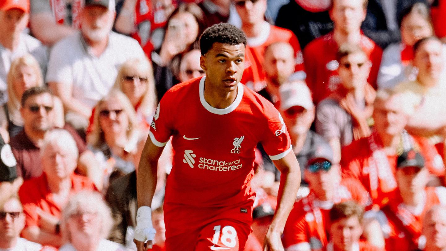 'Really amazing' - Cody Gakpo on the joy of playing for Liverpool ...