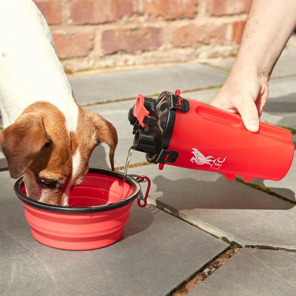 Out now: The new Liverpool FC pet range - Liverpool FC