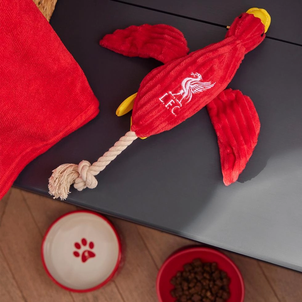 Out now: The new Liverpool FC pet range - Liverpool FC